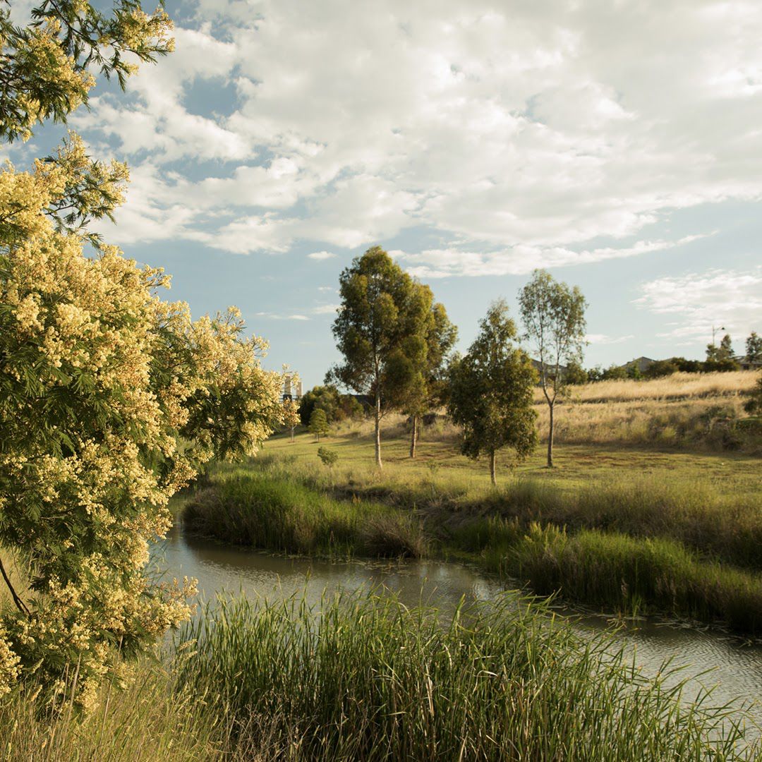 Amelia 21 - Melbourne by Home Group - 2153 Mangiorini Avenue - Rockbank ...