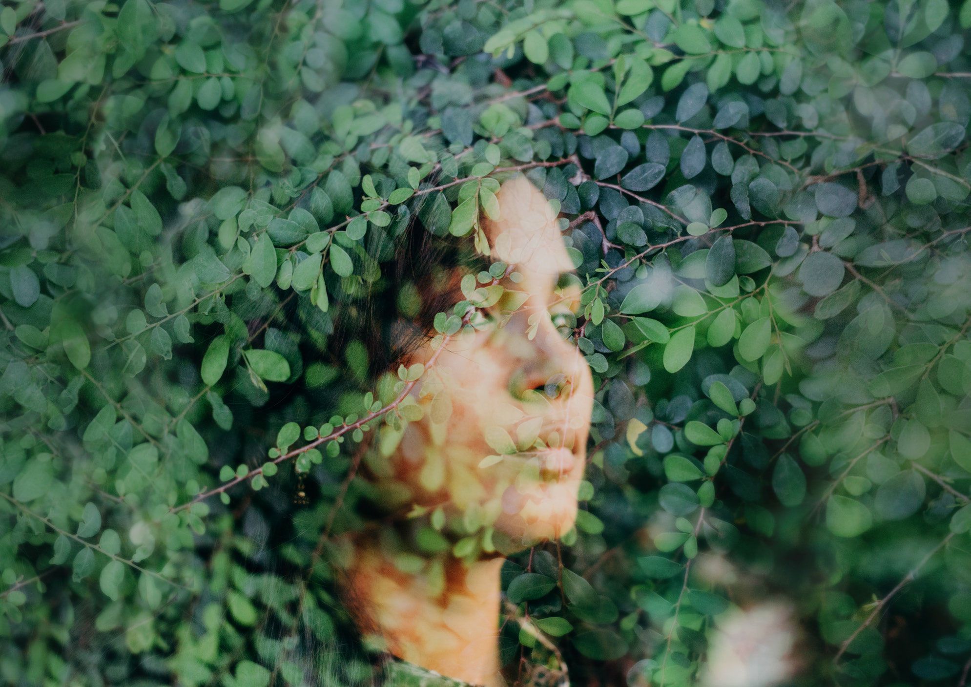 Paris 25 - Melbourne by Home Group - 2424 Twain road - Mambourin, VIC ...